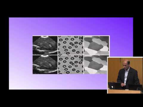 UWEE Research Colloquium: January 7, 2014 - Hamidreza Amindavar, Amirkabir University of Technology