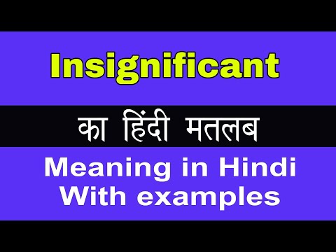 Insignificant Meaning in Hindi/Insignificant का अर्थ या मतलब क्या होता है.
