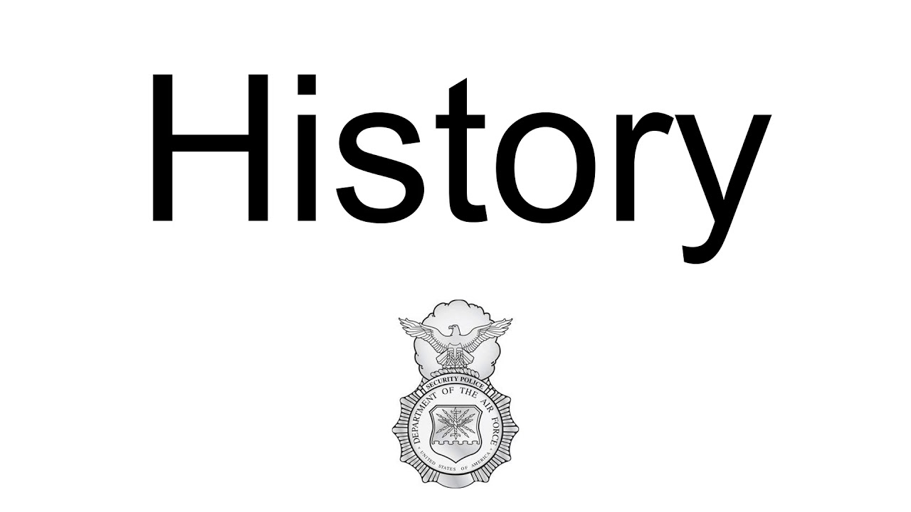 United States Air Force Security Forces Shield