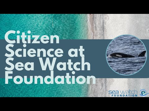 Sea Watch Foundation