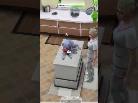 Is The Sims 4 fun with only one pack Cats Dogs