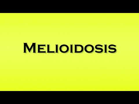 Pronunciation of Melioidosis