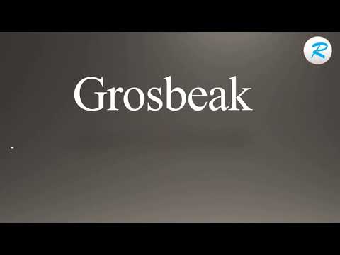 How to pronounce Grosbeak