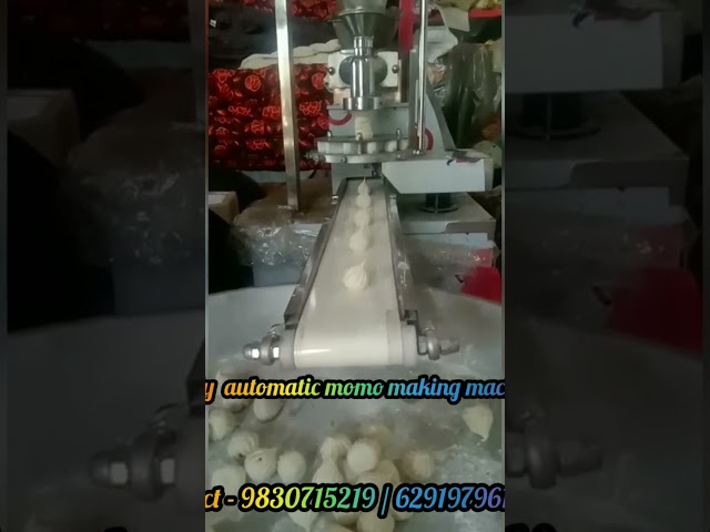 Momos Making Machine - Automatic Dumping Momo Making Machine RBI- D 80 ...