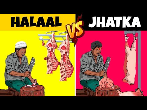 हलाल और झटका में क्या है फ़र्क? | मुस्लिम झटका क्यों नहीं खाते? | Jhatka and Halal Meat Difference