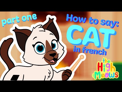 Can You Guess the French Word for Cat?