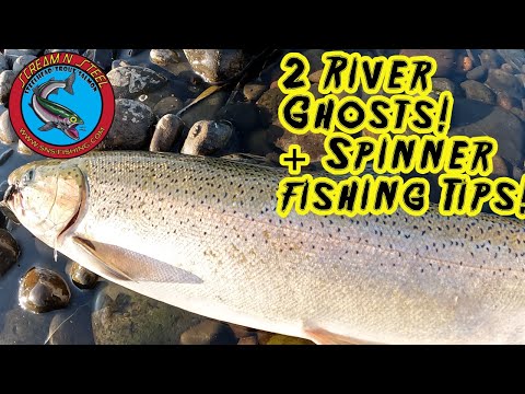 Steelhead Trout on Spinners : Techniques for Success!