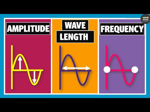 Wavelength, Frequency, Time Period and Amplitude | Physics