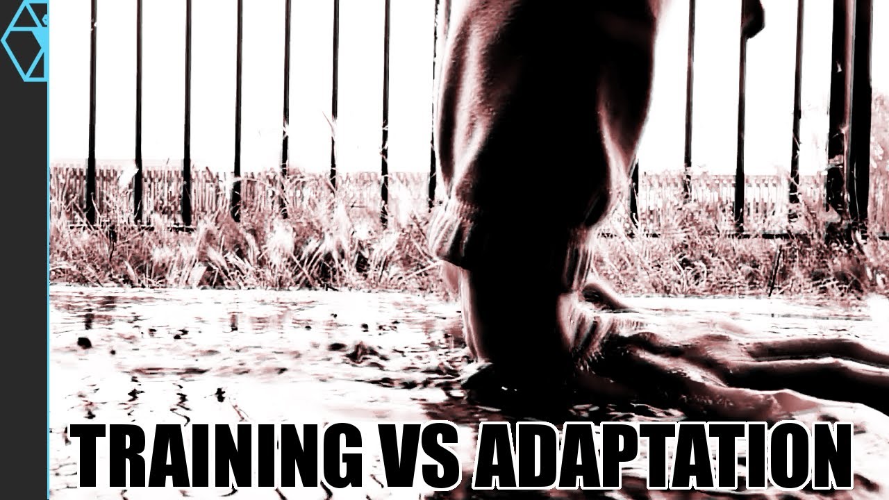 Training Philosophy: Training vs Adaptation