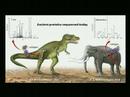 Lets Test Them: Evolution vs. Creationism