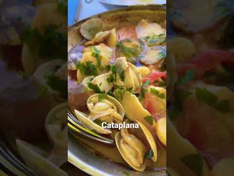 PRATOS TÍPICOS PORTUGAL: veja algumas comidas portuguesas, o que comer em Portugal e no Algarve
