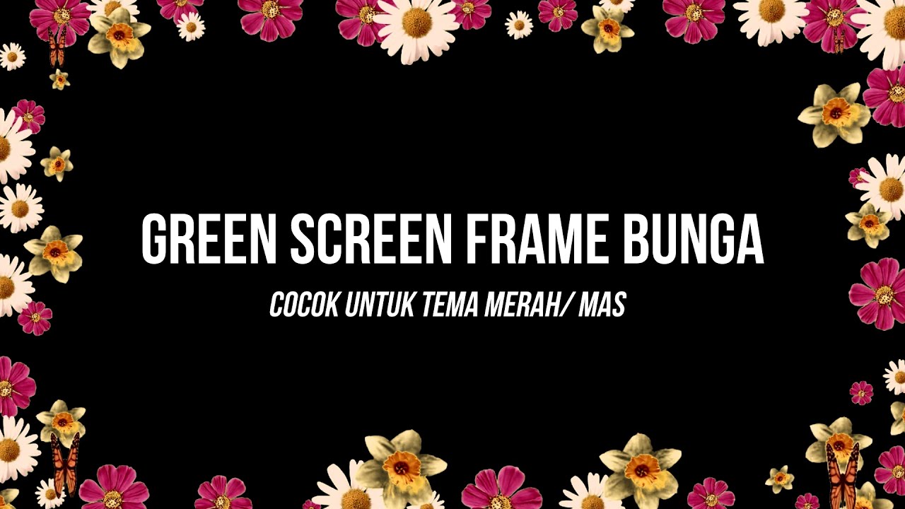 GREEN SCREEN FRAME BUNGA MERAH