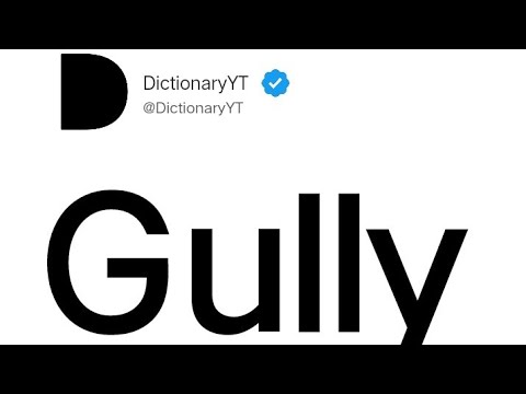 Gully Meaning in English