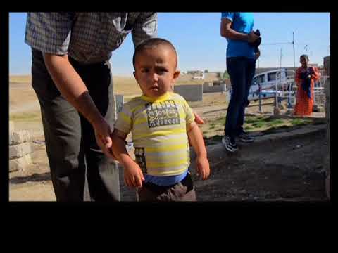 IOM International Organization for Migration