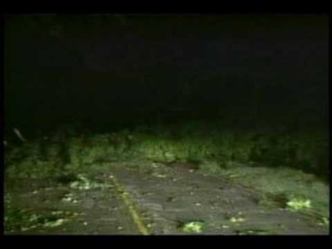 Trees Down Fox Wx Segment VO - 6/12/07