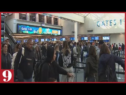 Woman accused of drowning dog in Orlando airport bathroom