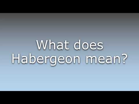 What does Habergeon mean?