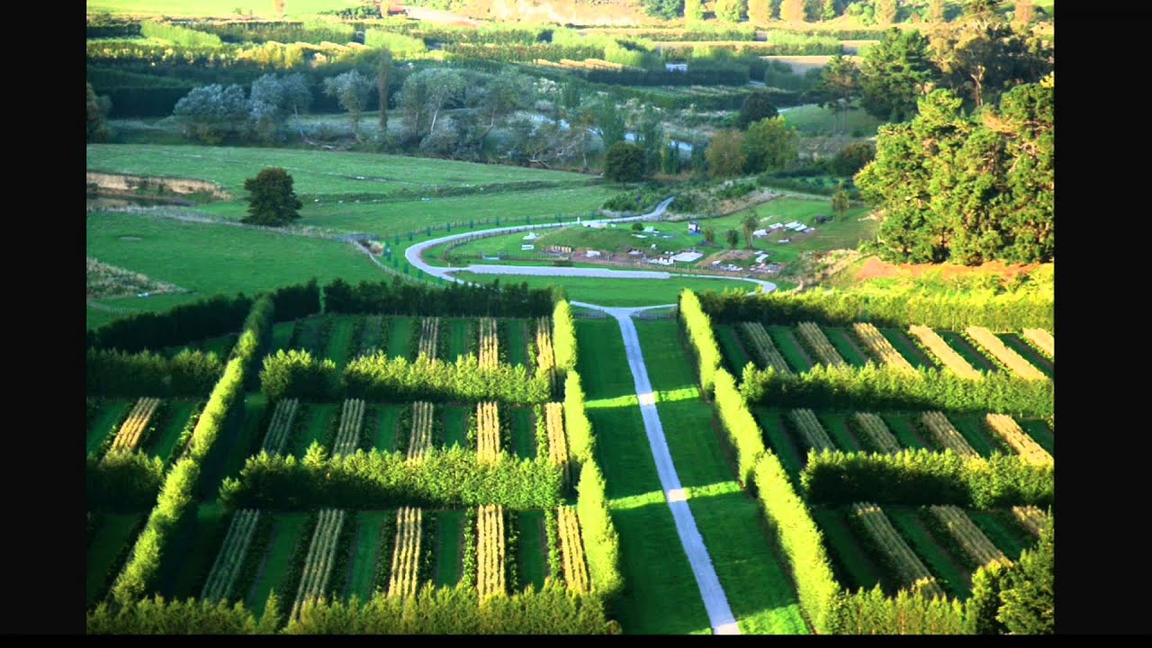 From landscape architecture to conservation agriculture | Thomas Woltz | TEDxCharlottesville