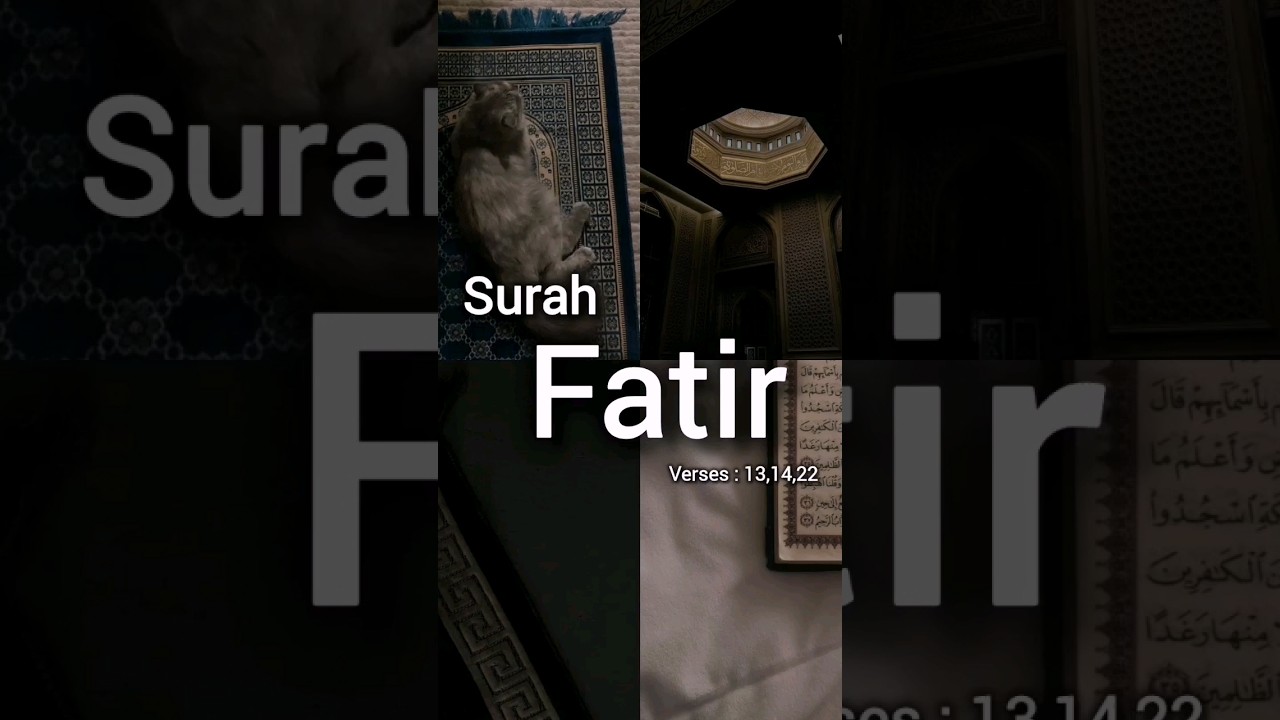 SURAH FATIR VERSE 13 14 22 SURAH AR RUM VERSE 52