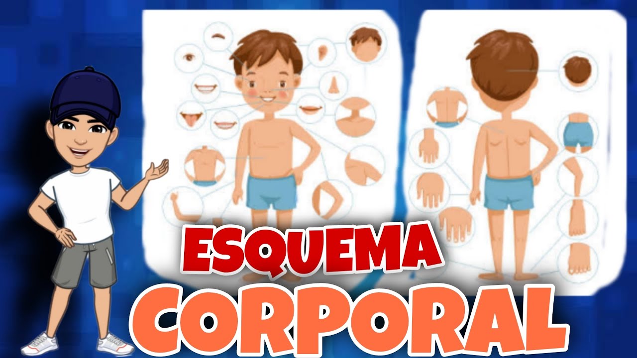 ¿Qué es ESQUEMA CORPORAL en EDUCACIÓN FÍSICA?🧍‍♂️ Explicación para Niños / Aprende en Casa.