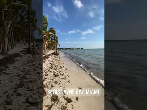Biscayne Bay, Miami #biscaynebay #miamibeach #florida