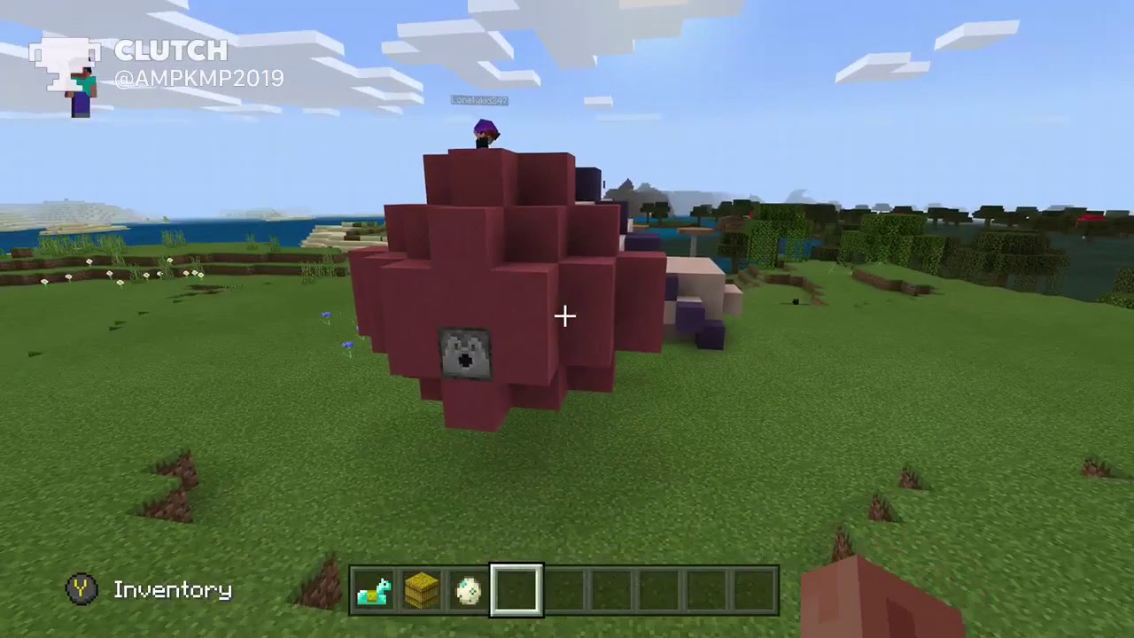 My little brother makes a dick in Minecraft