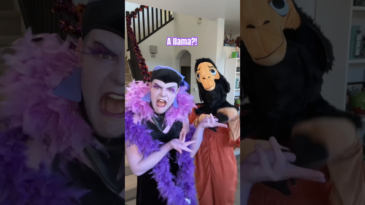 Why Was He Holding A Llama?!