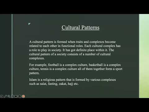 What is organization of culture? Crash course Sociology 1
