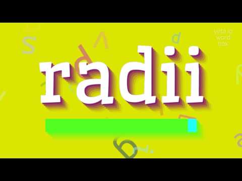 How to say "radii"! (High Quality Voices)