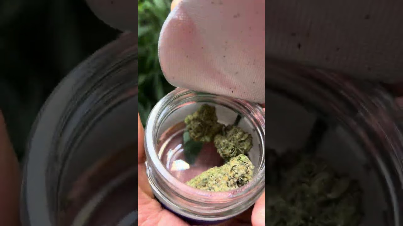 Trying out apple cobbler from the brand Rythm