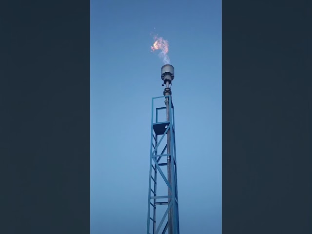 Gas Flare System - Automatic Open Bio Gas Flare System Manufacturer ...