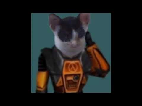 Steam Community :: Video :: gordon cat funky town