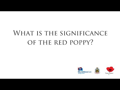 What is the significance of the red poppy?