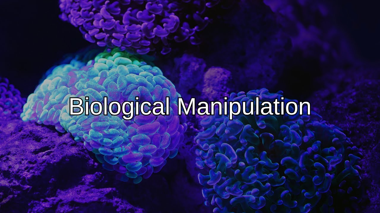 Biological Manipulation - Subliminal Audio