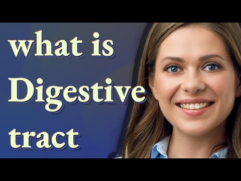 Digestive tract | meaning of Digestive tract