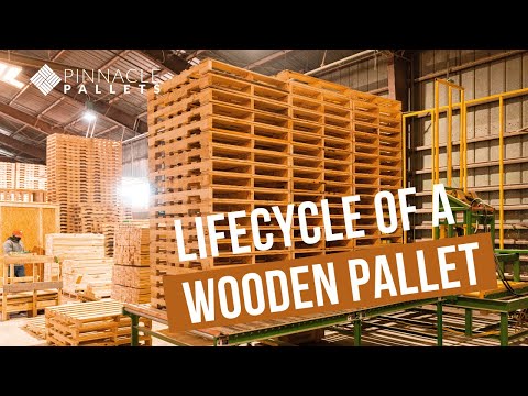 Lifecycle of a Wooden Pallet