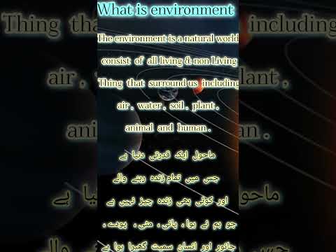 What is Environment? | Definition & Importance Explained Simply