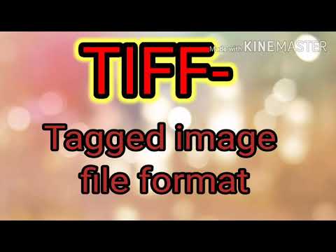Full form of TIFF BY_ Sujit Kumar dubey jee