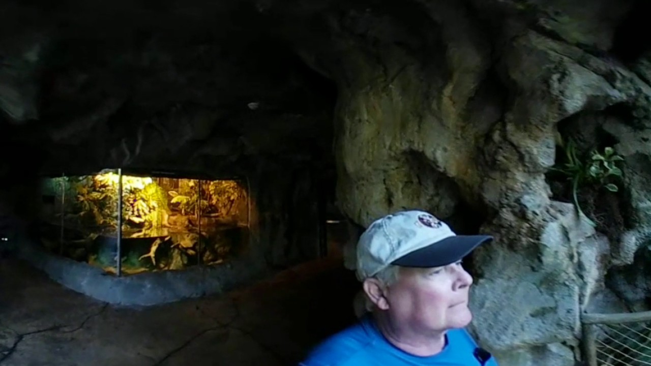 Rainforest at Buffalo Zoo