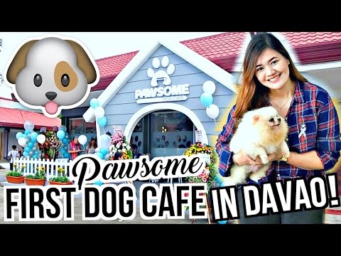 FIRST DOG CAFE IN DAVAO!!! Pawsome Dog Cafe ♡ | makeupbykarlamisa Vlogs