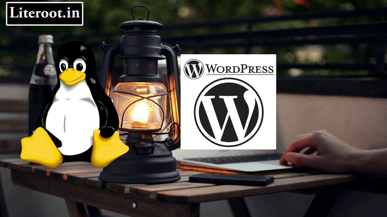 Why Shared WordPress Hosting Is the Best Option for New Blogs