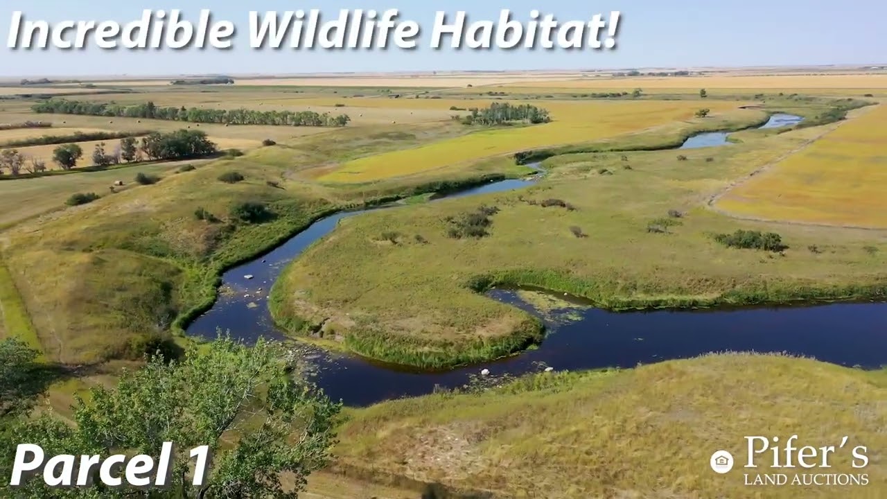 480 +/- Acres - Divide County, ND
