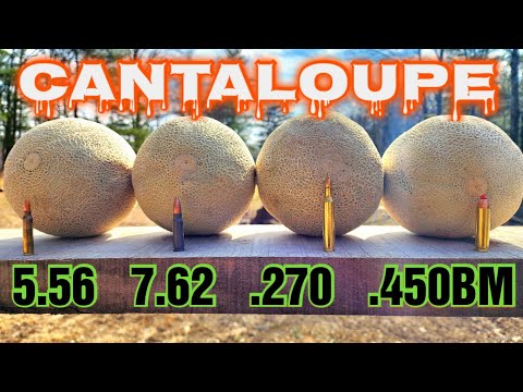 Rifles VS Cantaloupe 5.56 7.62x39 .270 Winchester .450 Bushmaster