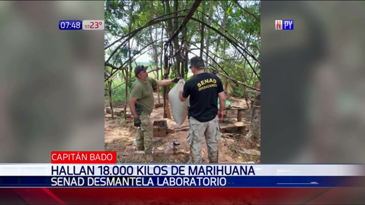Desmantelan laboratorio clandestino e incautan 18 toneladas de marihuana