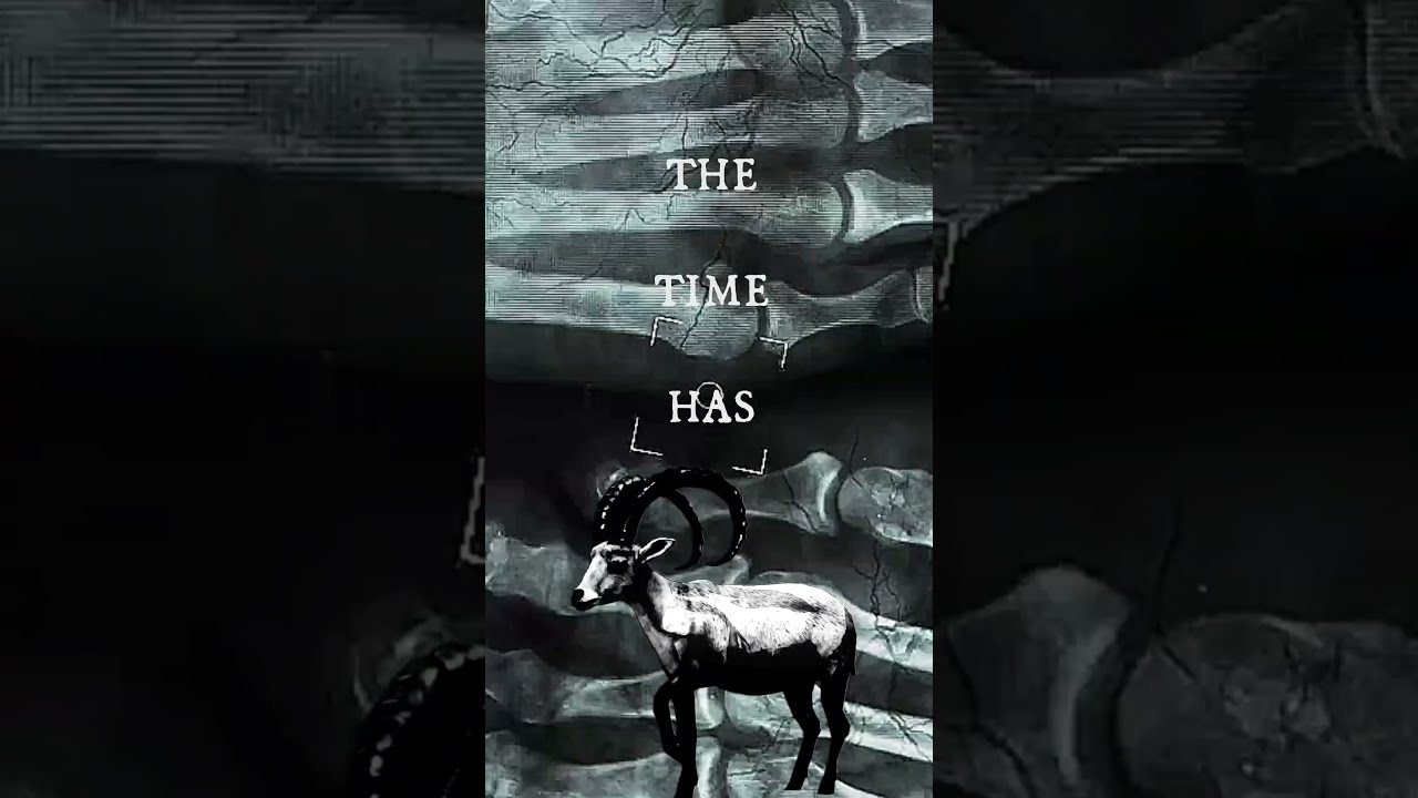 STIMULATION / SIMULATION (First Teaser)