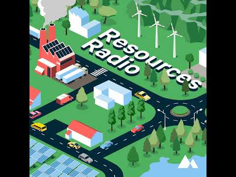 The Future of Energy Storage, with Dick Schmalensee