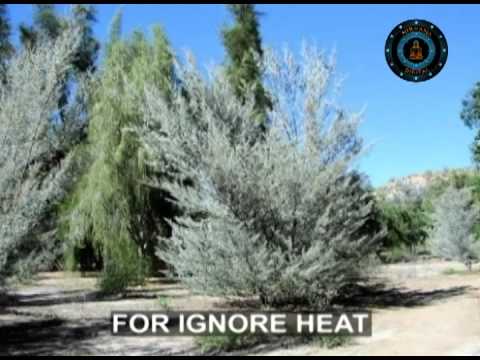 Deserts and Semi Deserts Episode 01