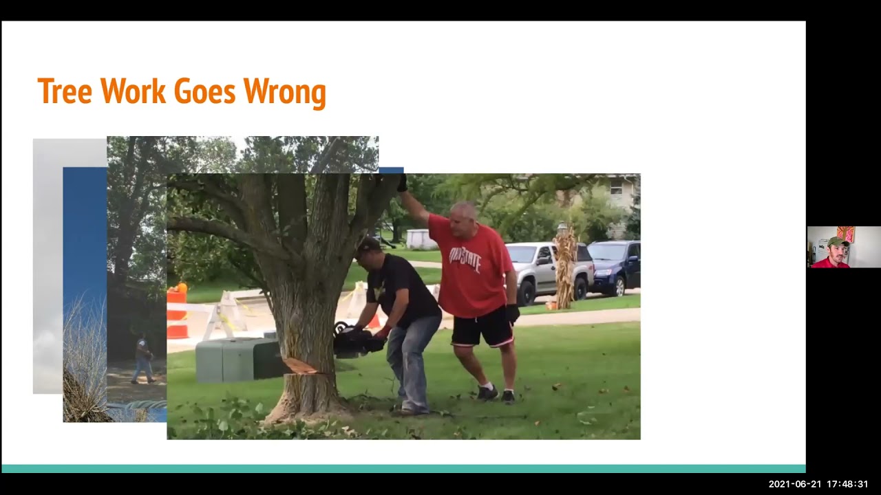 Why Hire an Arborist? How to Select a Tree Specialist with ISA Certified Arborist, Kasey Krouse