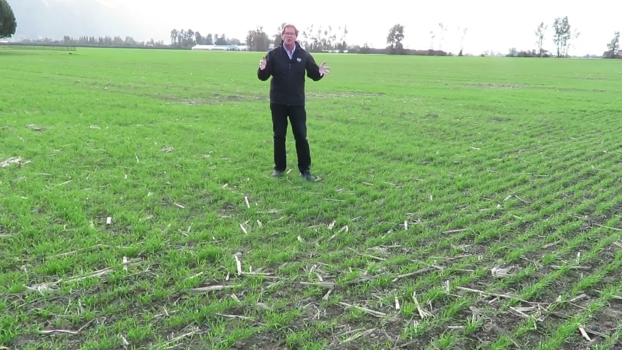 Forage Storage Planning