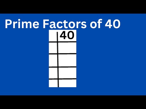 Prime Factors of 40